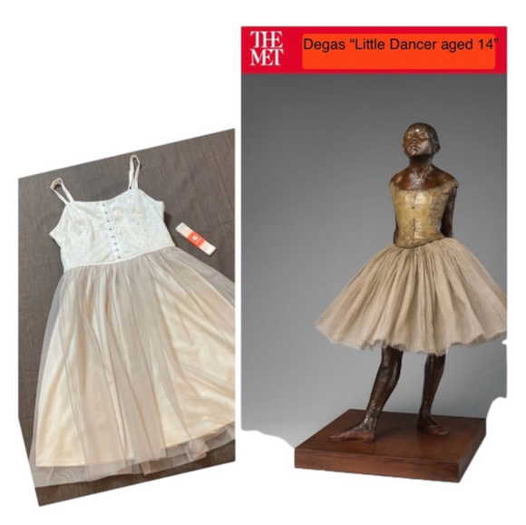 Target | Dresses | Tulle Corset Dress For Studio Portrait For Ballet ...